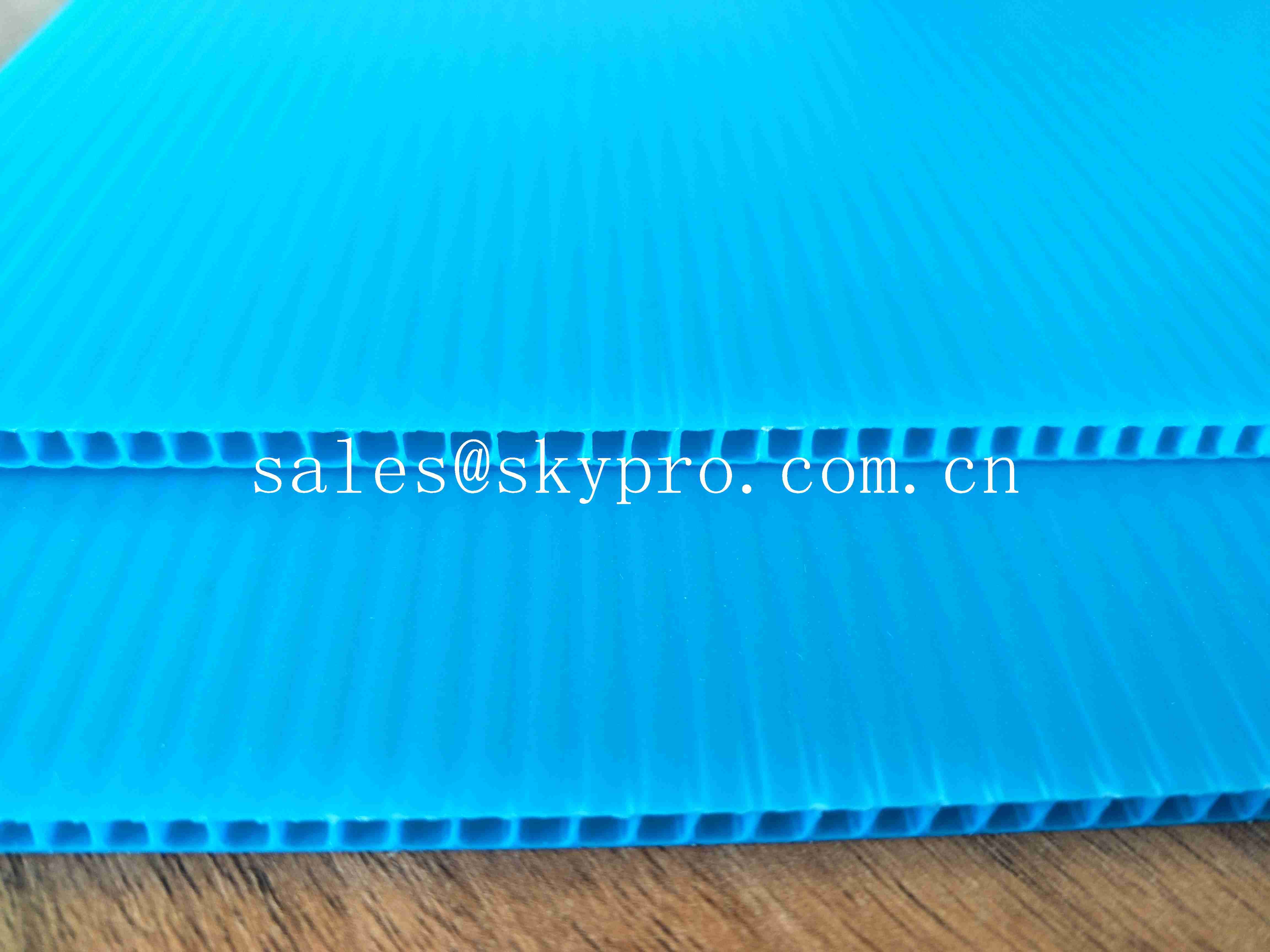 Blauw Vuil - plooide het Holle Blad Duurzame pp van het ...